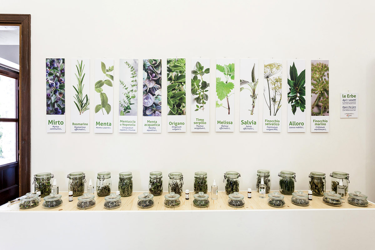 Pioppi - Ecomuseo della Dieta Mediterranea – Museo Vivo del Mare ...